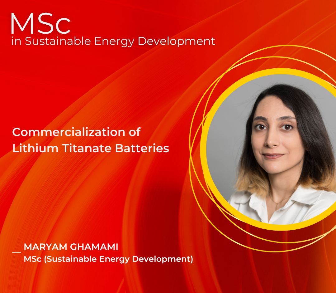 SEDV Research Showcase 2022 | School of Public Policy | University of ...